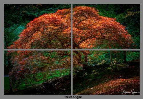 Colorado Colors | Limited Edition Print | Dave Nydam Photography